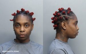 ALLEN SHANTEL MICHELLE 04/28/2023 - Miami-Dade County Mugshots Zone