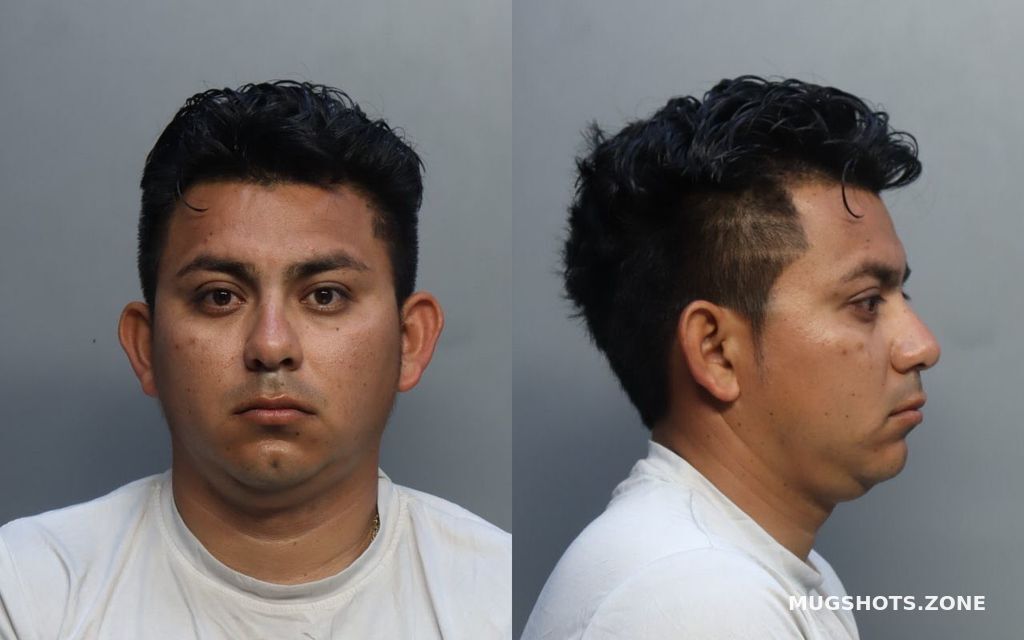 PERLA DARLING STEVEN 05/05/2023 - Miami-Dade County Mugshots Zone