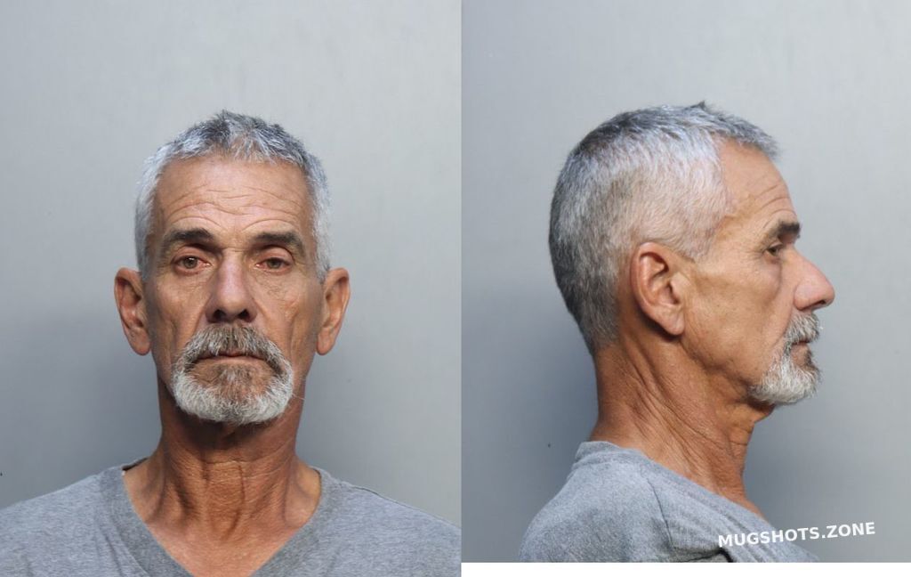 VEGA LUIS FERNANDO 05/11/2023 - Miami-Dade County Mugshots Zone