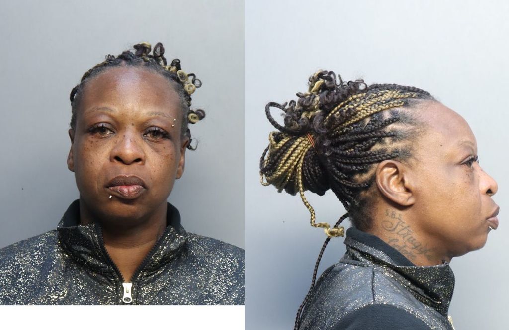 CUMMINGS LYNNETTE MARIE 05/11/2023 - Miami-Dade County Mugshots Zone