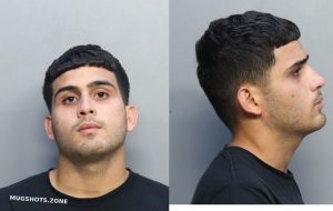 FERNANDEZ ALEJANDRO HERNANDEZ 05/24/2023 - Miami-Dade County Mugshots Zone