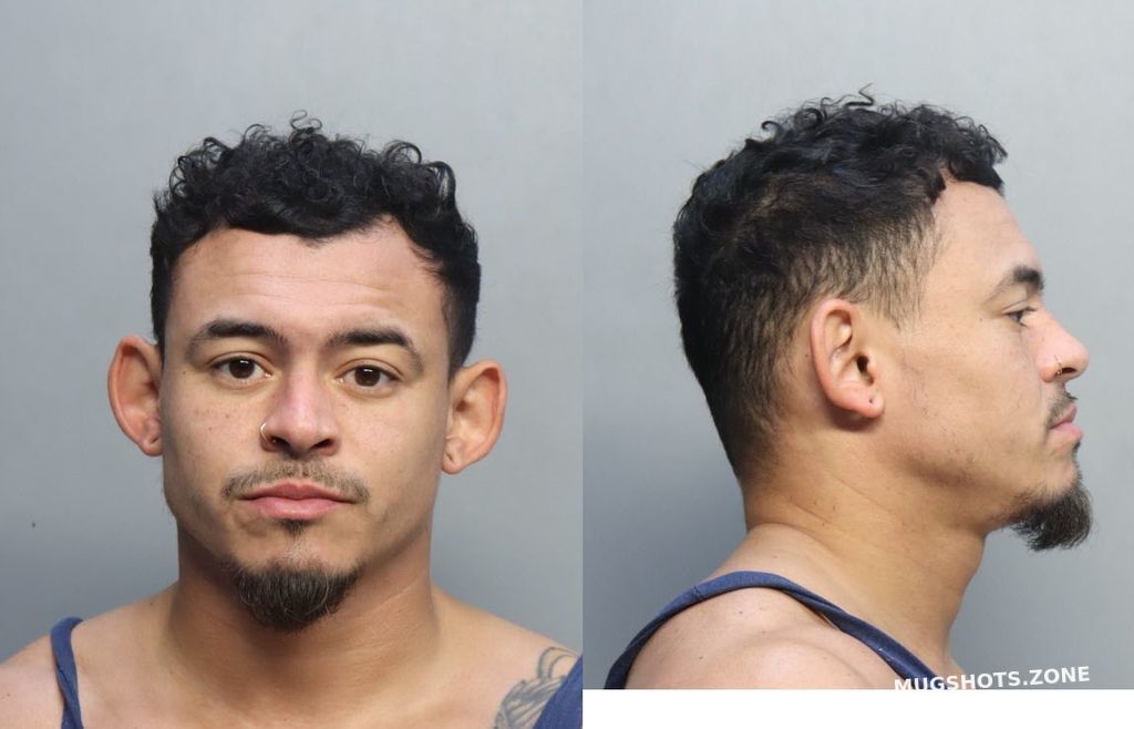 ALAMO CHRISTOPHER MICHAEL 06/01/2023 - Miami-Dade County Mugshots Zone