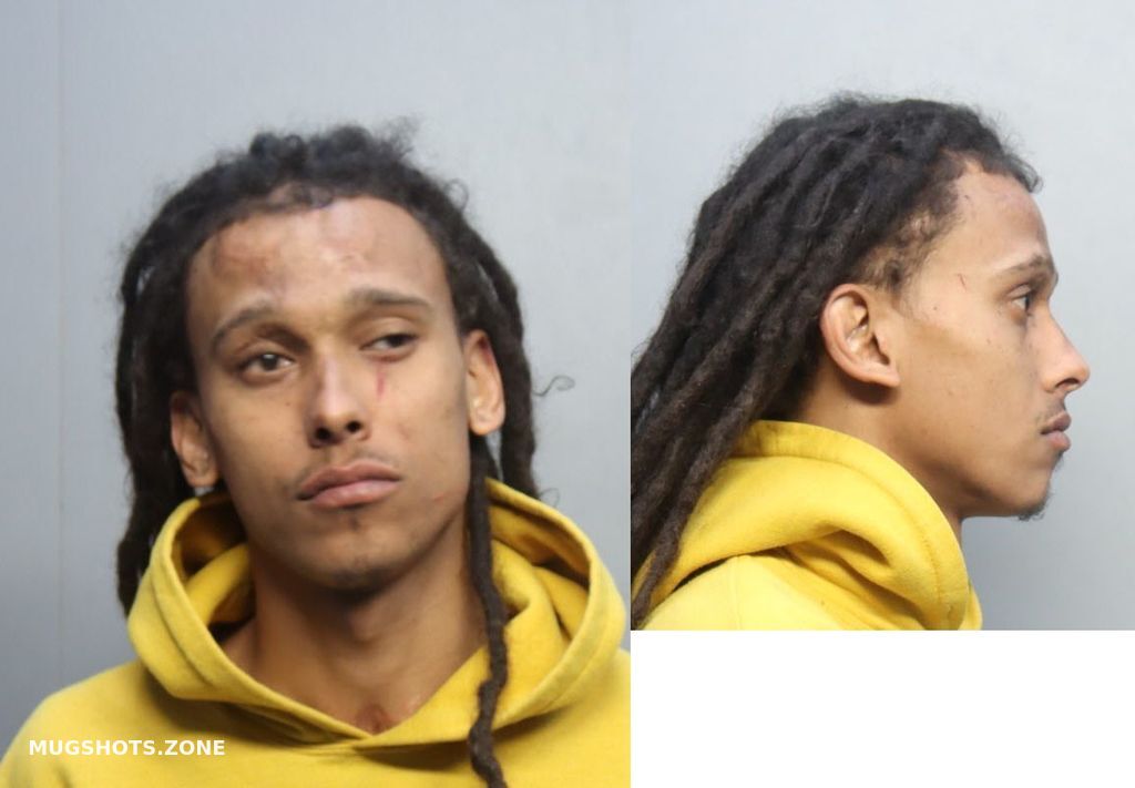 FINK-PALMER ISAIAH 06/06/2023 - Miami-Dade County Mugshots Zone