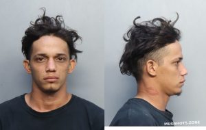 FUENTES-VALLECILLO JOSE ALEXANDER 06/17/2023 - Miami-Dade County ...
