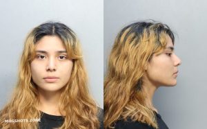 MIRANDA ANDREA CAROLINA 06/19/2023 - Miami-Dade County Mugshots Zone