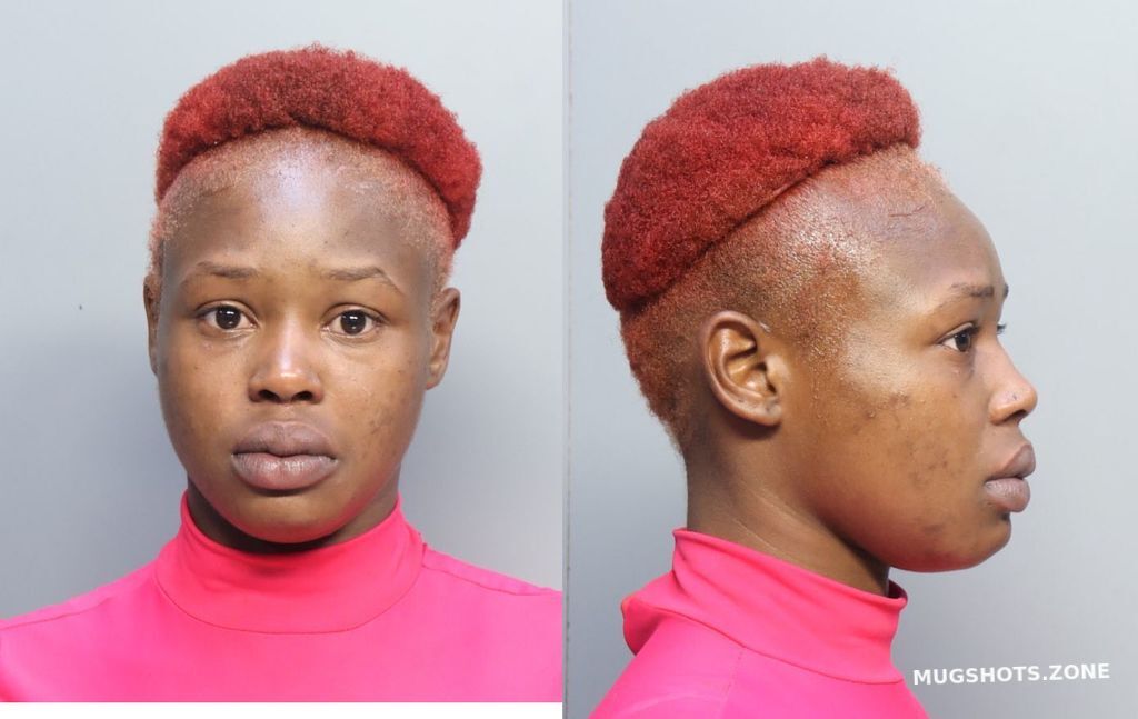 GIBSON RENIAH J 07/19/2023 - Miami-Dade County Mugshots Zone