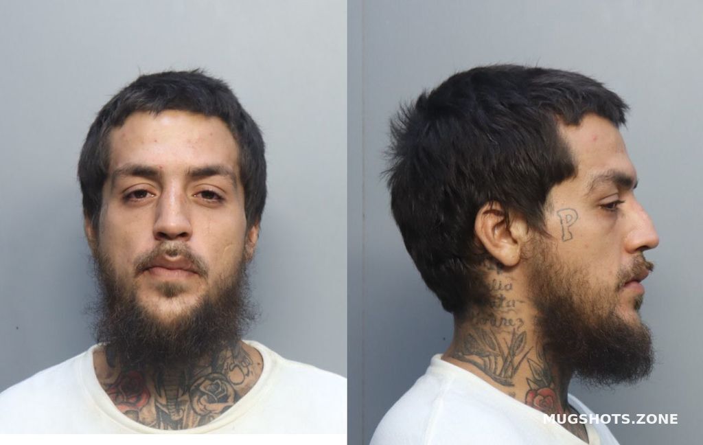 PALMA OSCAR 07/21/2023 - Miami-Dade County Mugshots Zone