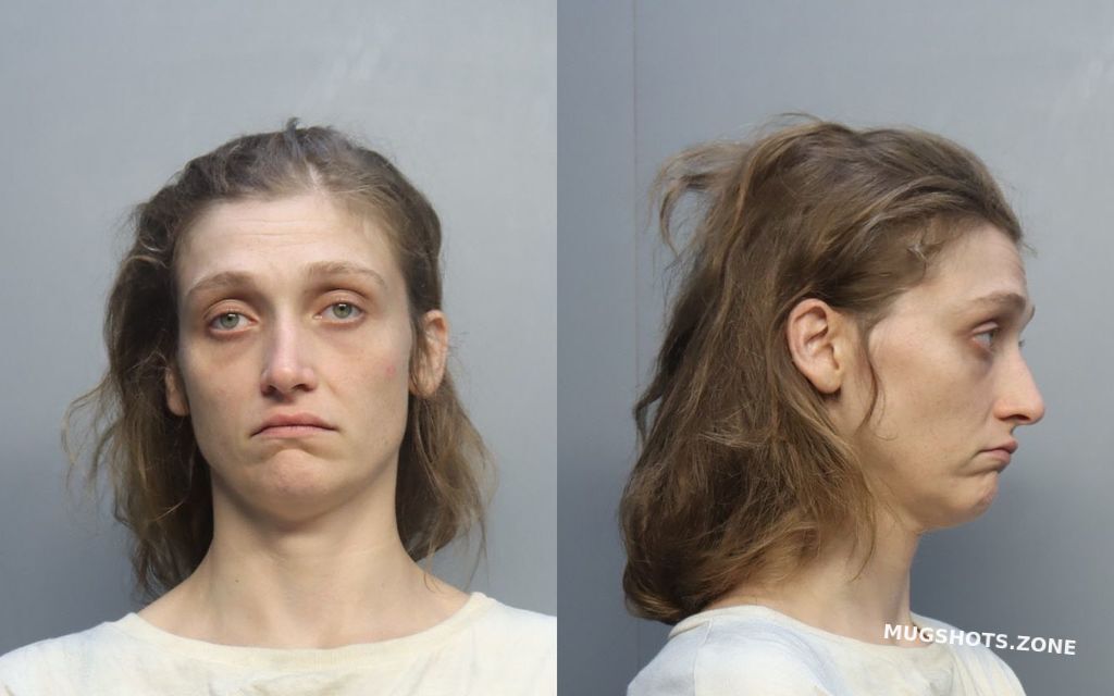 AMINI AMANDA JOANNE 07/25/2023 - Miami-Dade County Mugshots Zone
