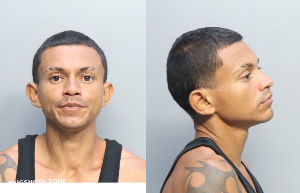 RAMIREZ-MARENCO MARIO JOSE 08/08/2023 - Miami-Dade County Mugshots Zone