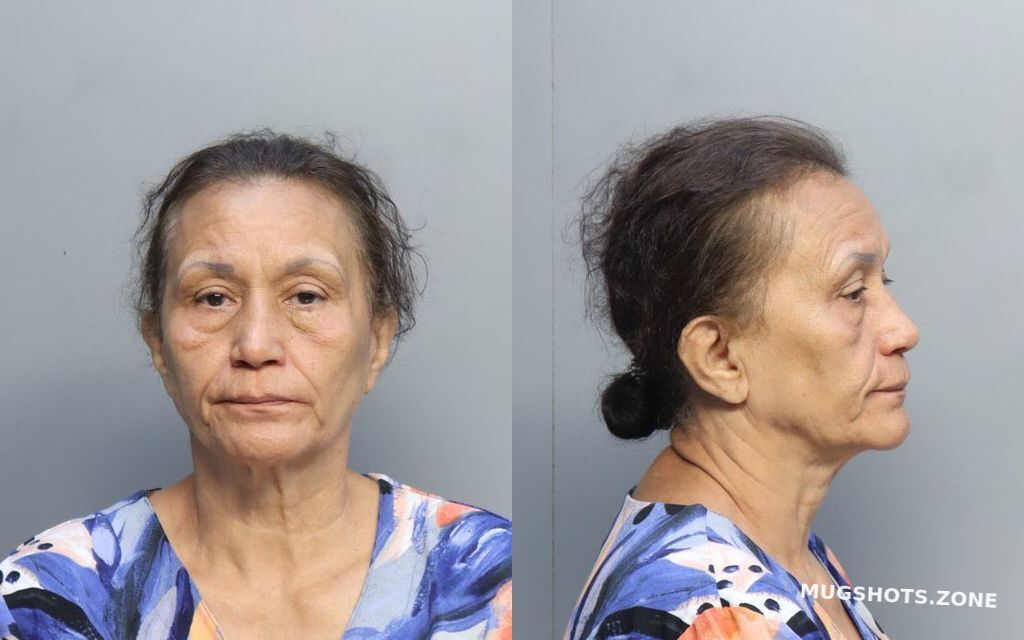 FROMETA MARIA ELENA 08/08/2023 - Miami-Dade County Mugshots Zone