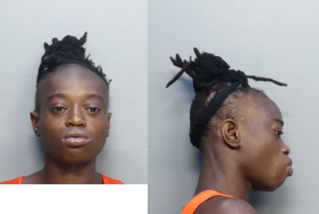 LOGAN RUTH W 08/22/2023 - Miami-Dade County Mugshots Zone