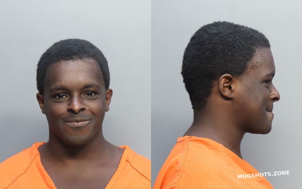 BROWN JORDEN J 08/22/2023 - Miami-Dade County Mugshots Zone