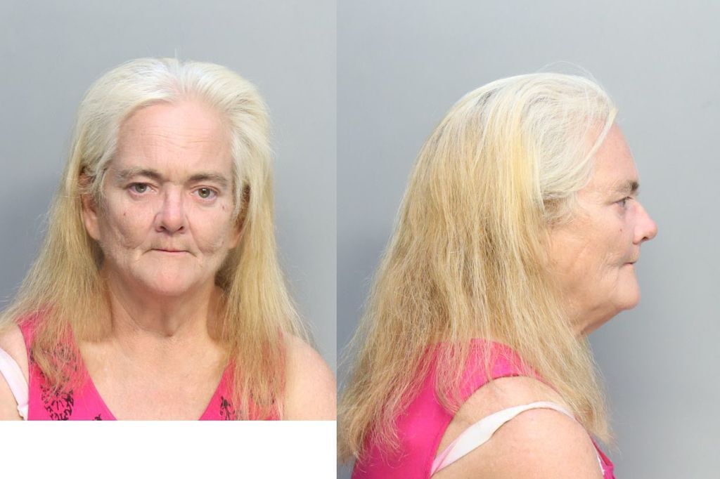 FOY KIMBERLY 08/25/2023 - Miami-Dade County Mugshots Zone