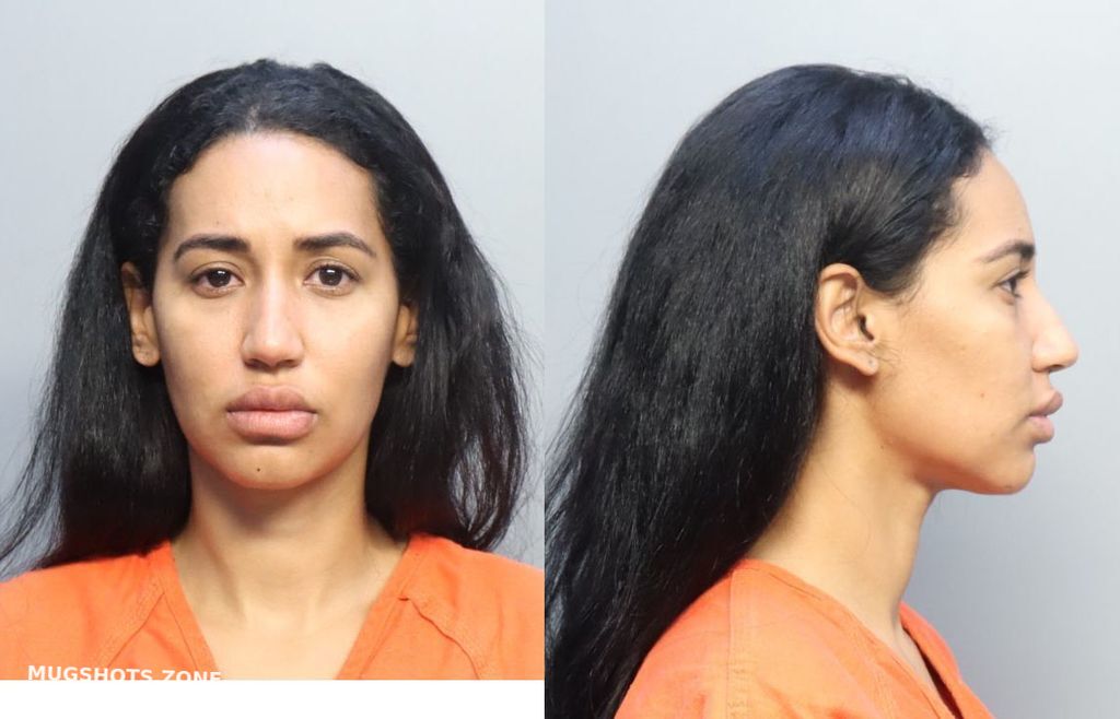 RAMIREZ ILIAN 09/01/2023 - Miami-Dade County Mugshots Zone
