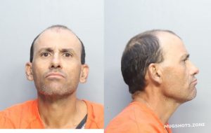 SIMO ALEXANDER 09/15/2023 - Miami-Dade County Mugshots Zone