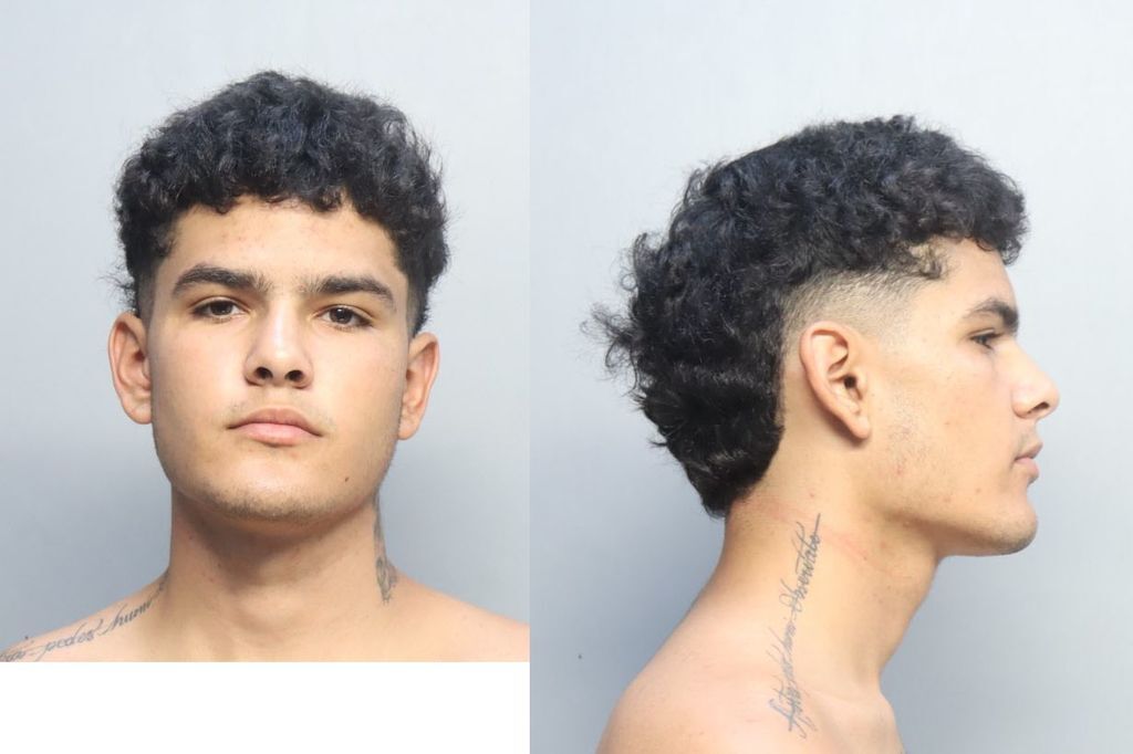 TANGARIFE LUIS FERNANDO 09/17/2023 - Miami-Dade County Mugshots Zone