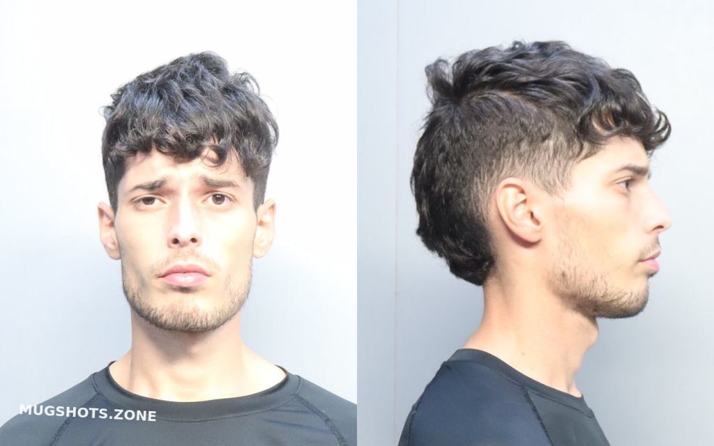 SEBASTIANI-ESTRADA DIEGO ANDRES 10/25/2023 - Miami-Dade County Mugshots ...