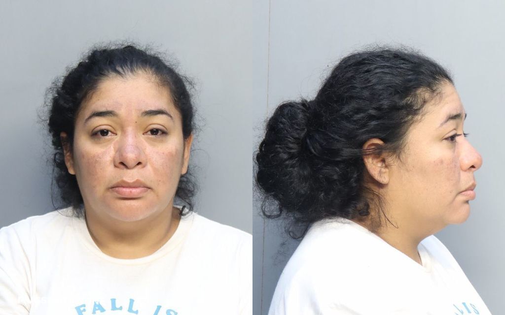 ARAGON-BARBERENA MAYLIN PTRONA 10/31/2023 - Miami-Dade County Mugshots Zone