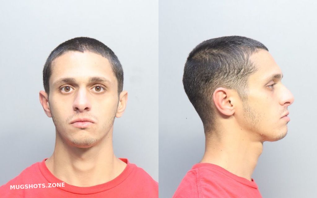 VELIS JUSTIN ALEXANDER 11/02/2023 - Miami-Dade County Mugshots Zone