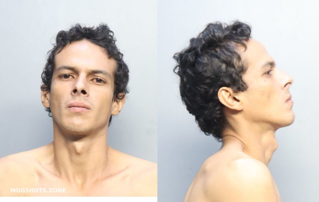 PALMA STEVEN MIGUEL 11/04/2023 - Miami-Dade County Mugshots Zone