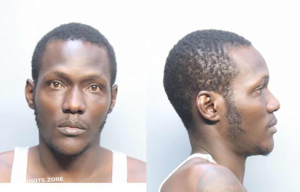 BRYAN TERRELL SHAUN 11/07/2023 - Miami-Dade County Mugshots Zone