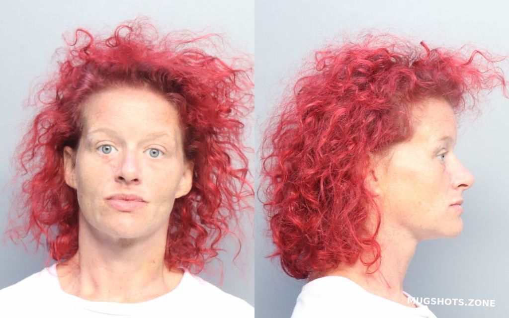 LOWERY JONI LYN 11/07/2023 - Miami-Dade County Mugshots Zone