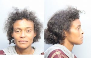 REESE MICHELLE RENAE 11/17/2023 - Miami-Dade County Mugshots Zone