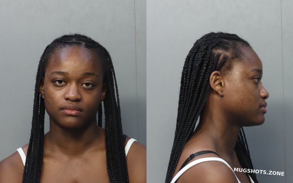 METAYER ANNETTE 11/27/2023 - Miami-Dade County Mugshots Zone