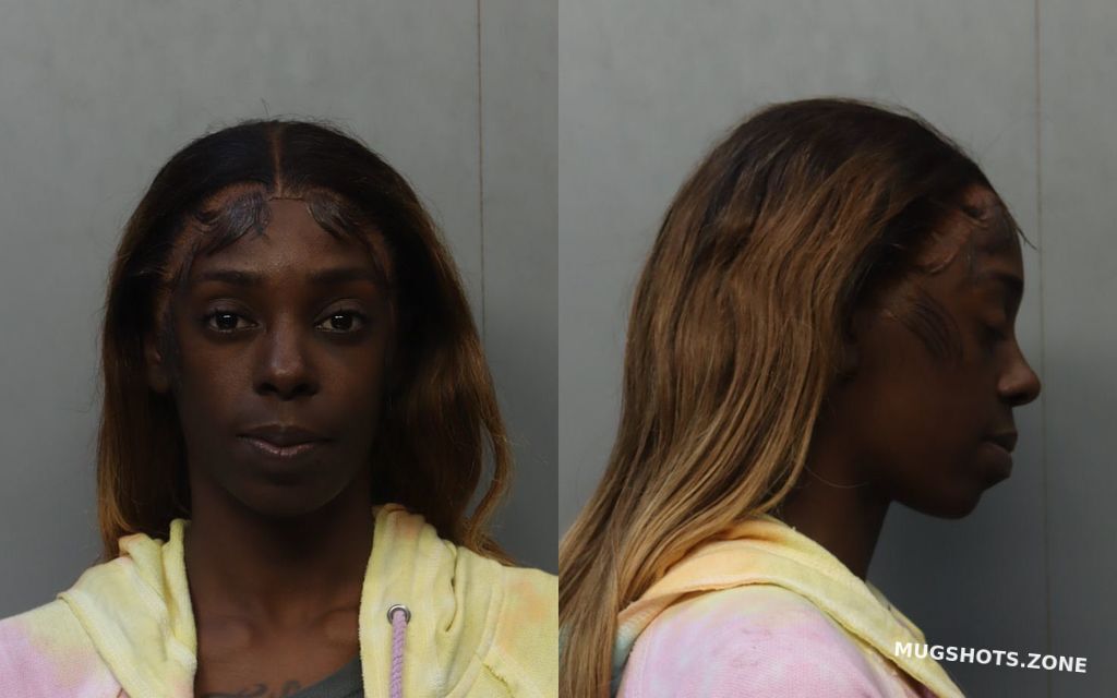 WILLIAMS EDRICKA 12/12/2023 - Miami-Dade County Mugshots Zone