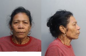 ALVAREZ ELIDA 12/20/2023 - Miami-Dade County Mugshots Zone