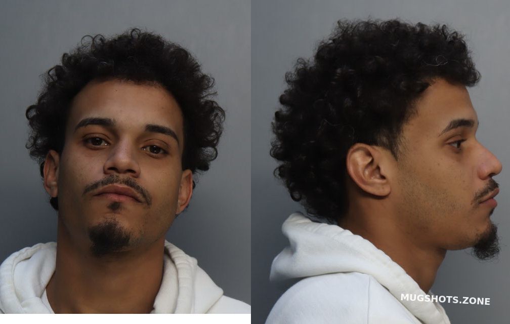 SIMO PATRICK 01/03/2024 - Miami-Dade County Mugshots Zone