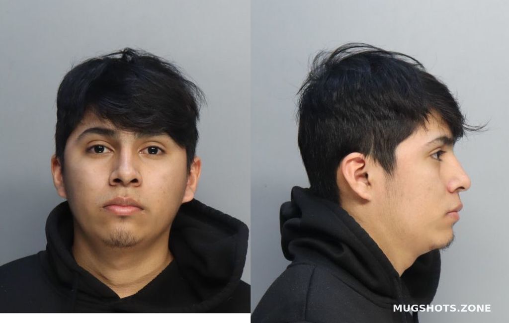 ESQUIVEL-LOPEZ ANTONY MARGARITO 01/04/2024 - Miami-Dade County Mugshots ...