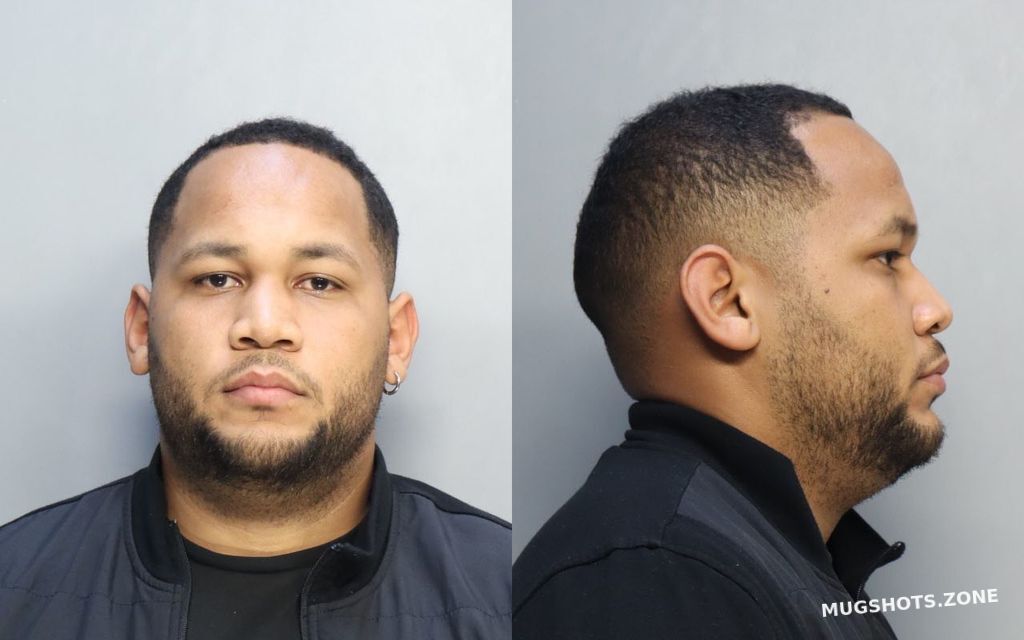LORENZOURENA ANDY EMMANUEL 01/08/2024 - Miami-Dade County Mugshots Zone