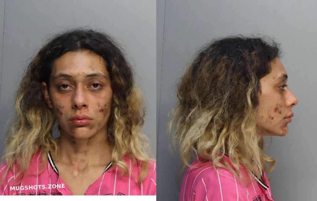 DOMINGUEZ TAINA 01/10/2024 - Miami-Dade County Mugshots Zone