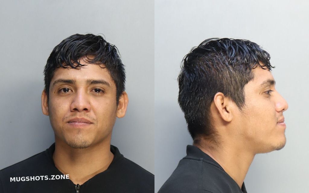 RAMIREZ LUIS DAVID 01/10/2024 - Miami-Dade County Mugshots Zone
