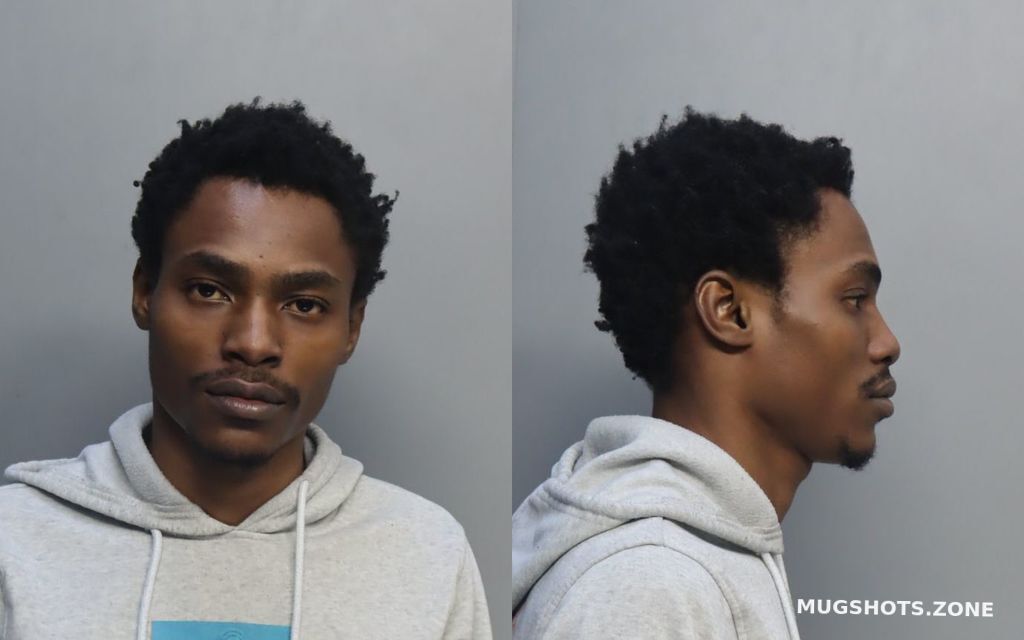 LOUIS FENTON 01/29/2024 - Miami-Dade County Mugshots Zone