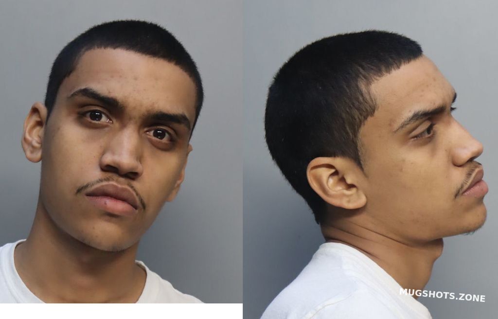 RITCHIE RYAN ROY 01/31/2024 - Miami-Dade County Mugshots Zone