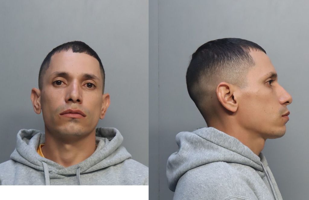 MARTINEZ LOUIS ALEXANDER 02/04/2024 - Miami-Dade County Mugshots Zone