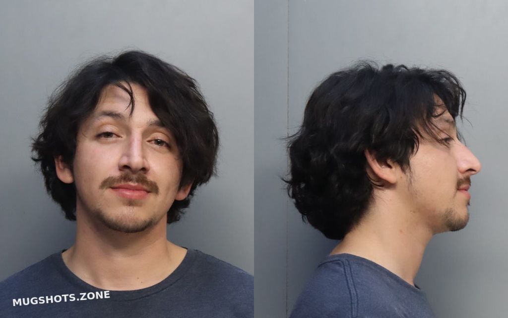 LARA JAMES 02/04/2024 - Miami-Dade County Mugshots Zone