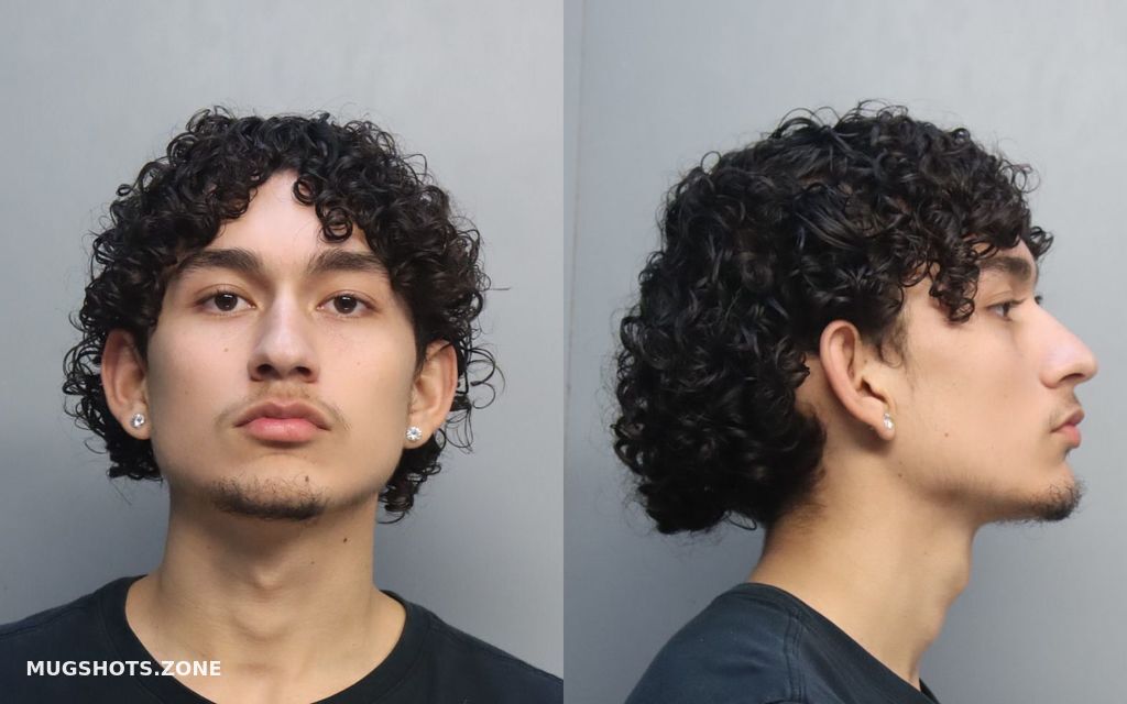 PROENSA CHRISTIAN EDWARD 02/08/2024 - Miami-Dade County Mugshots Zone