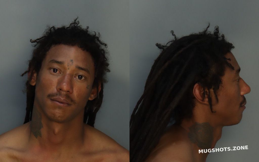 CHRISTIAN JEAN 02/11/2024 - Miami-Dade County Mugshots Zone
