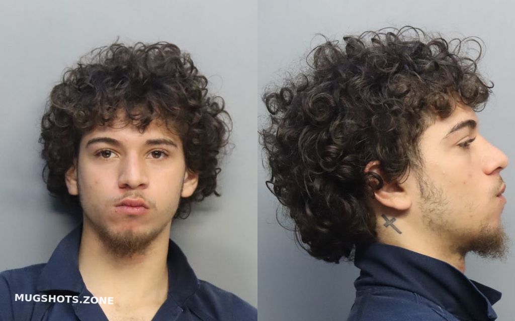 HERNANDEZ ALEXANDER 02/13/2024 - Miami-Dade County Mugshots Zone
