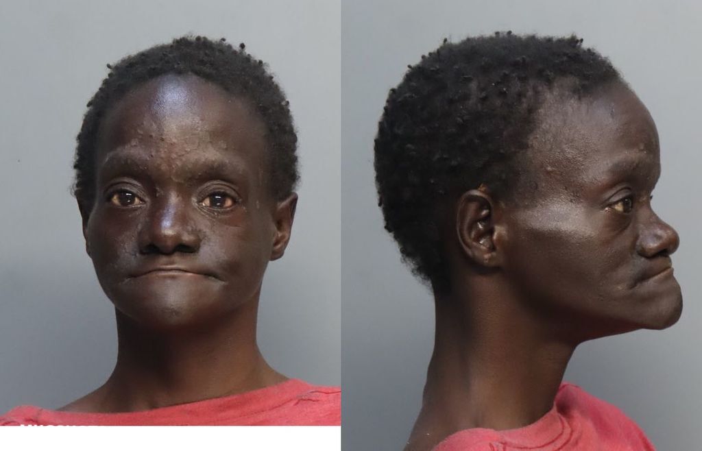 STEWART LATORIA EBONY 02/14/2024 - Miami-Dade County Mugshots Zone
