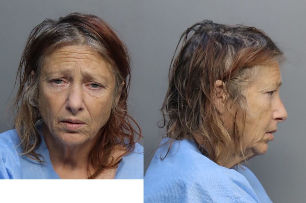 THOMPSON CHRISTINA 02/20/2024 - Miami-Dade County Mugshots Zone