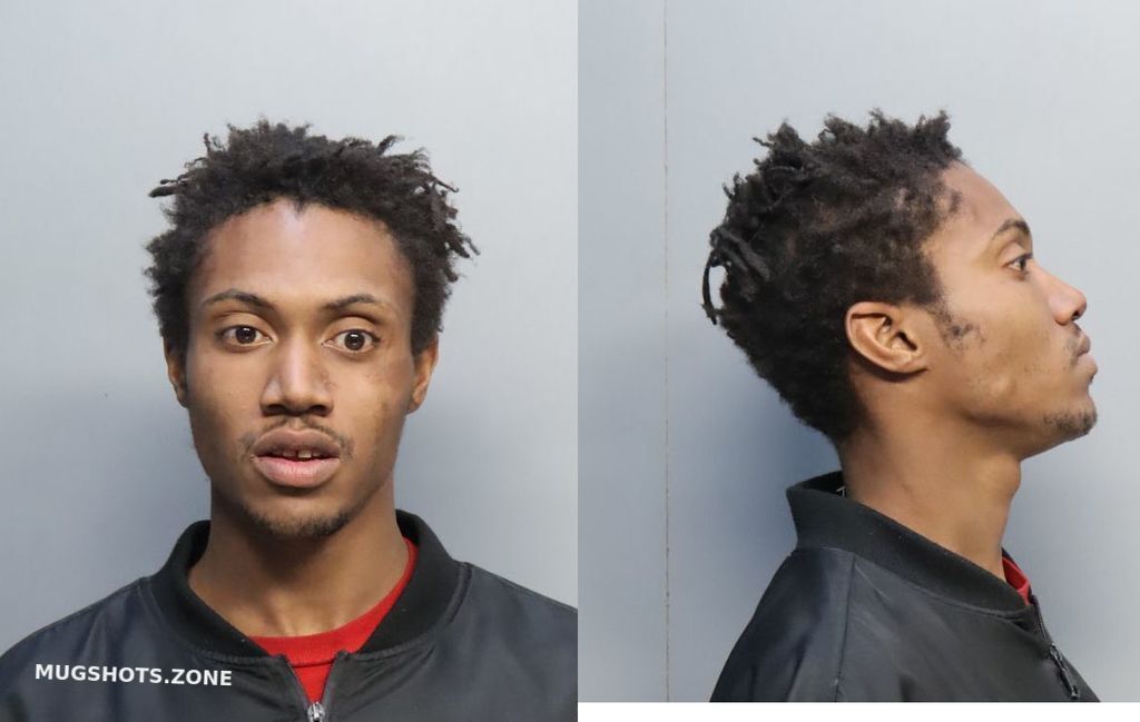 BROWN AMOY 02/21/2024 - Miami-Dade County Mugshots Zone