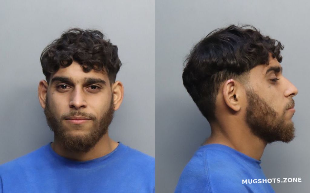 COSTA ALLEXANDER DOMINGO 02/26/2024 - Miami-Dade County Mugshots Zone