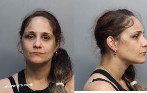 BAYOLO TINA CRYSTAL 02/27/2024 - Miami-Dade County Mugshots Zone