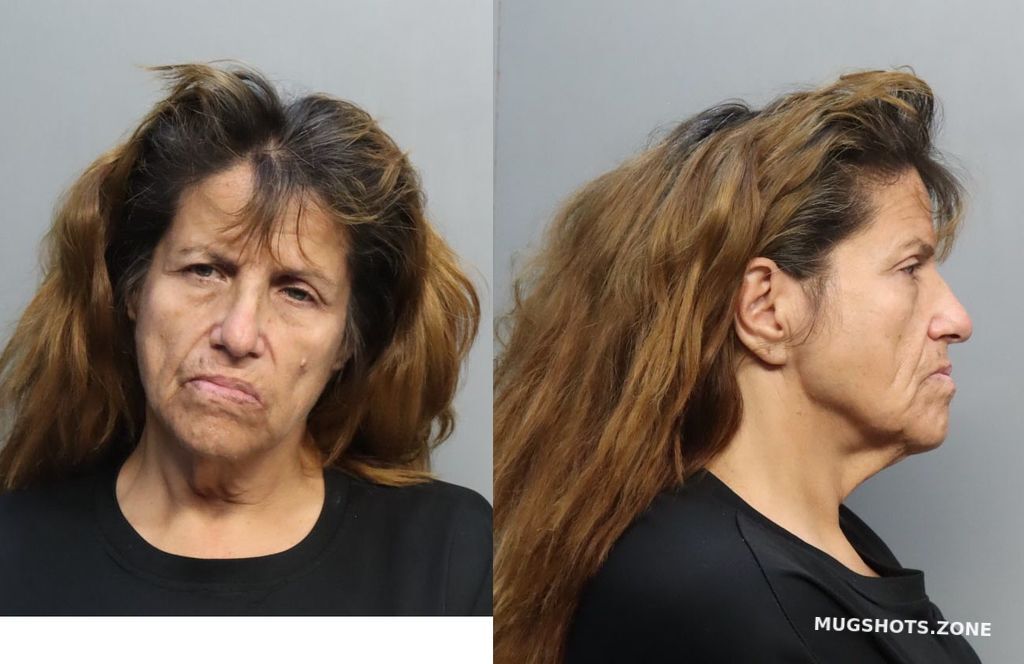 BORGES CHRISTINA 03/03/2024 - Miami-Dade County Mugshots Zone