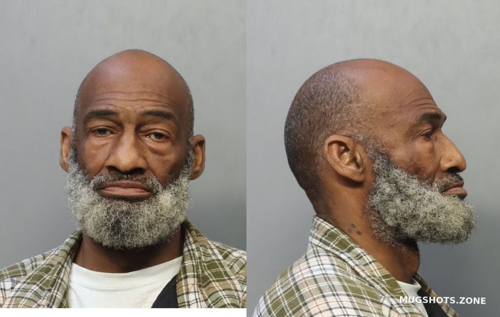 ROBINSON BRAIN 03/07/2024 - Miami-Dade County Mugshots Zone