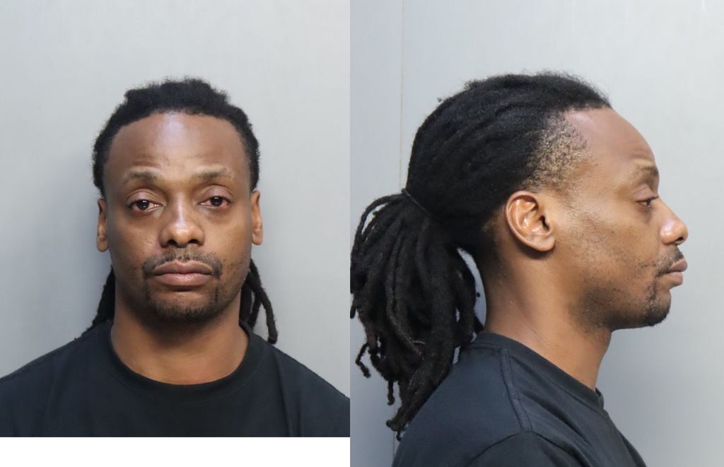 HORENSTEIN JONSON 03/15/2024 - Miami-Dade County Mugshots Zone